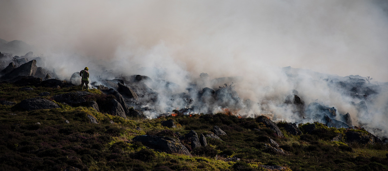 CO2 impacts on past and future fire regimes and their consequences for ...