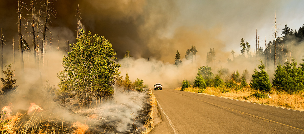 Developing global modelling capabilities to represent wildfires in the ...