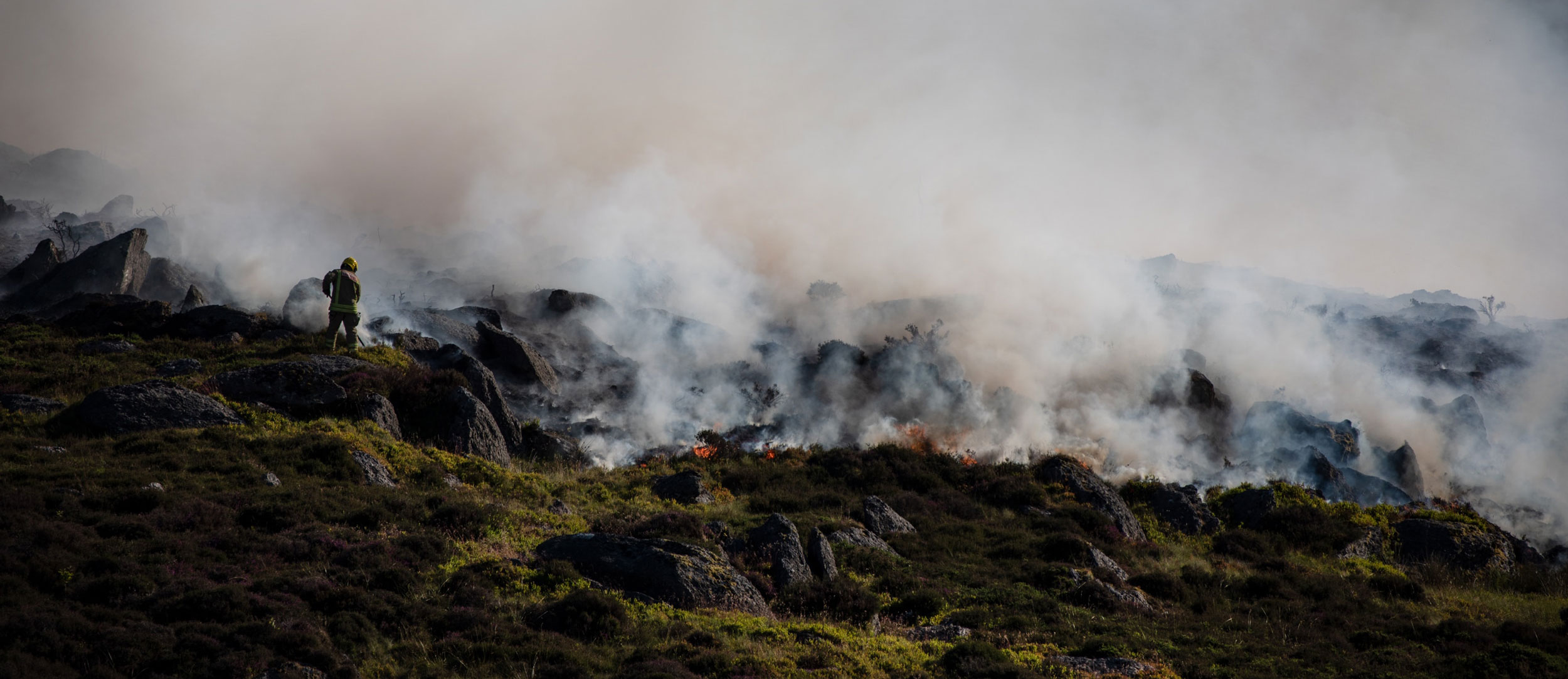 The impact of anthropogenic land-use changes on fire regimes during the ...