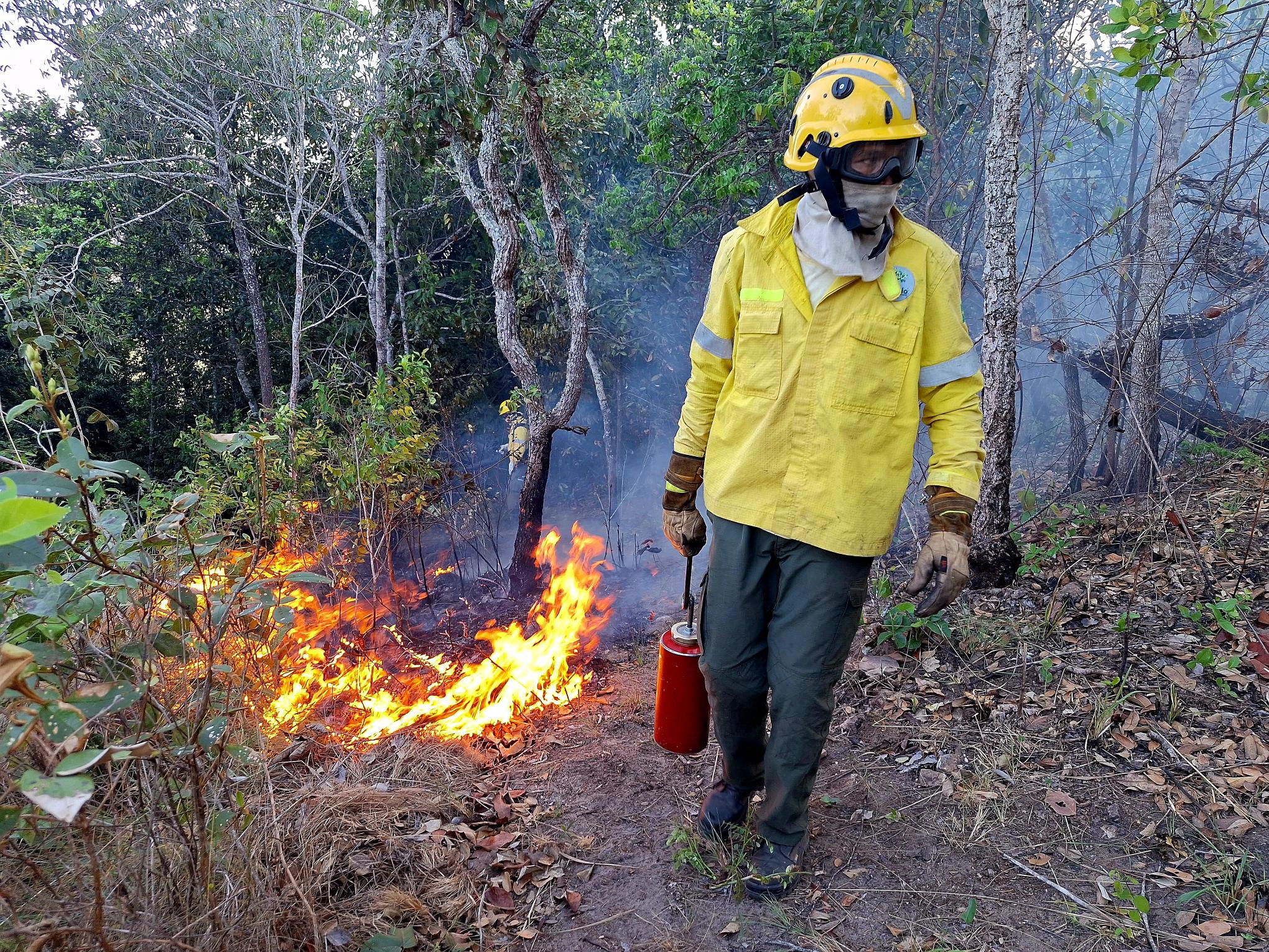 Fire governance - Leverhulme Wildfires Centre Leverhulme Wildfires Centre