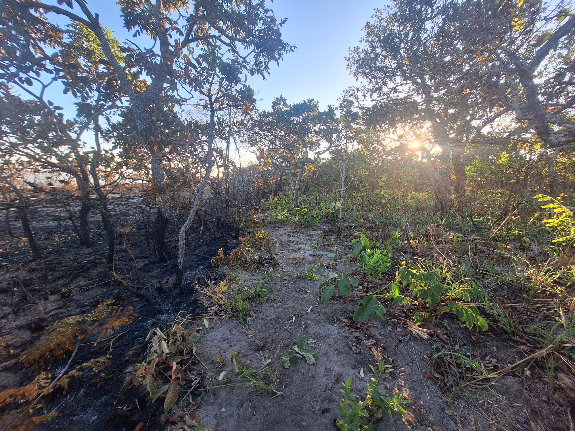 Optimality-based Wildfire Modelling - Leverhulme Wildfires Centre ...